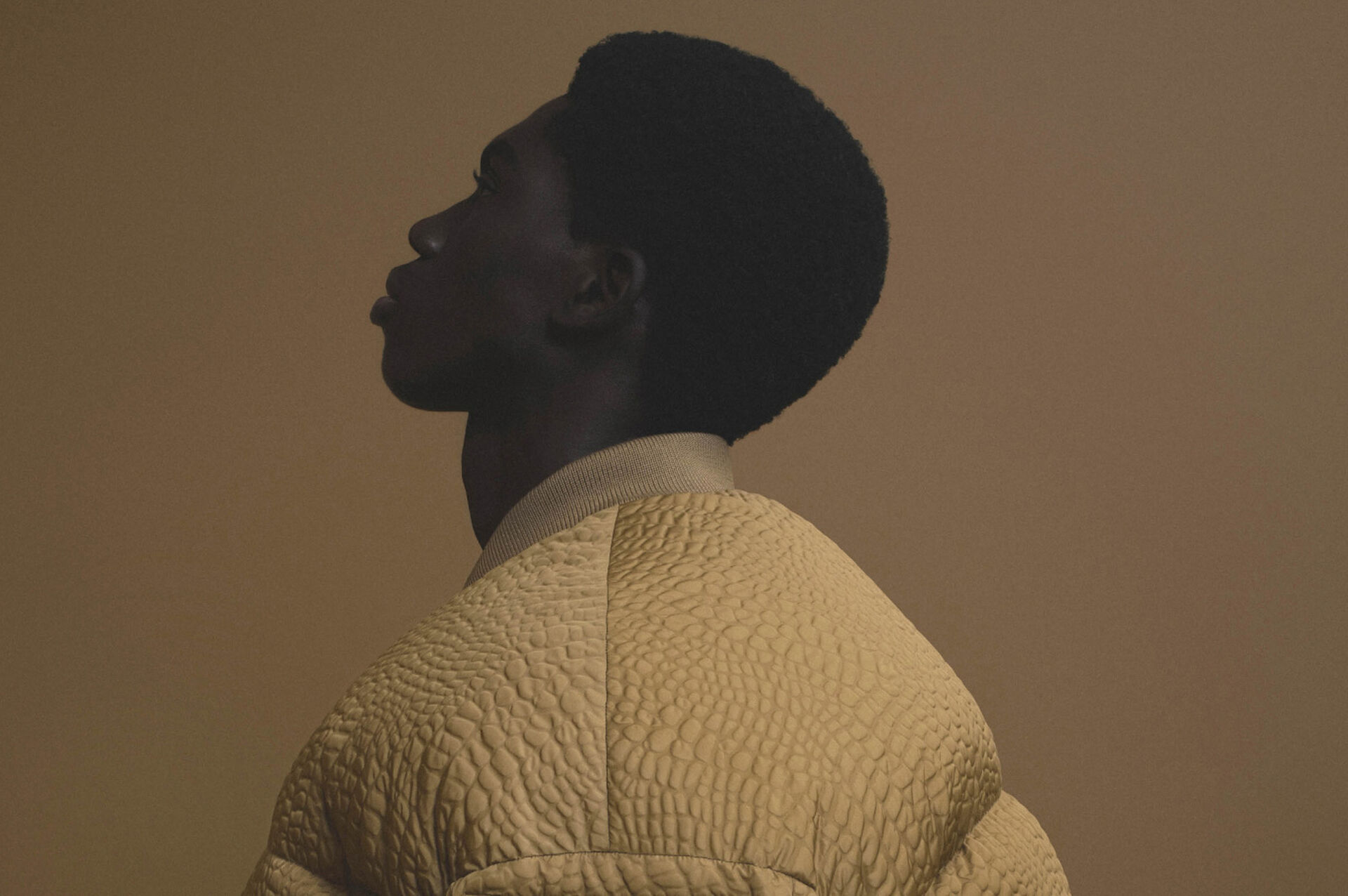 Courtesy page Genius