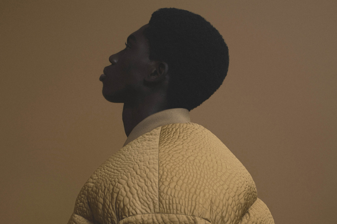 Courtesy page Genius