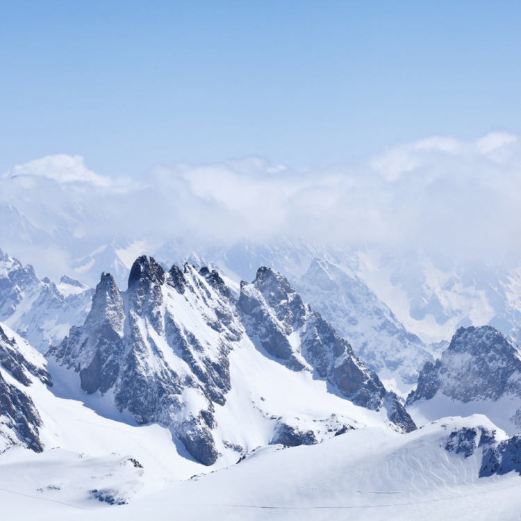 Sélection de matériaux de nos collections | Moncler